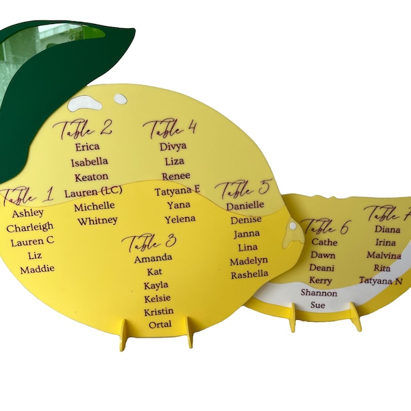 Colorful Seating Chart - Etsy