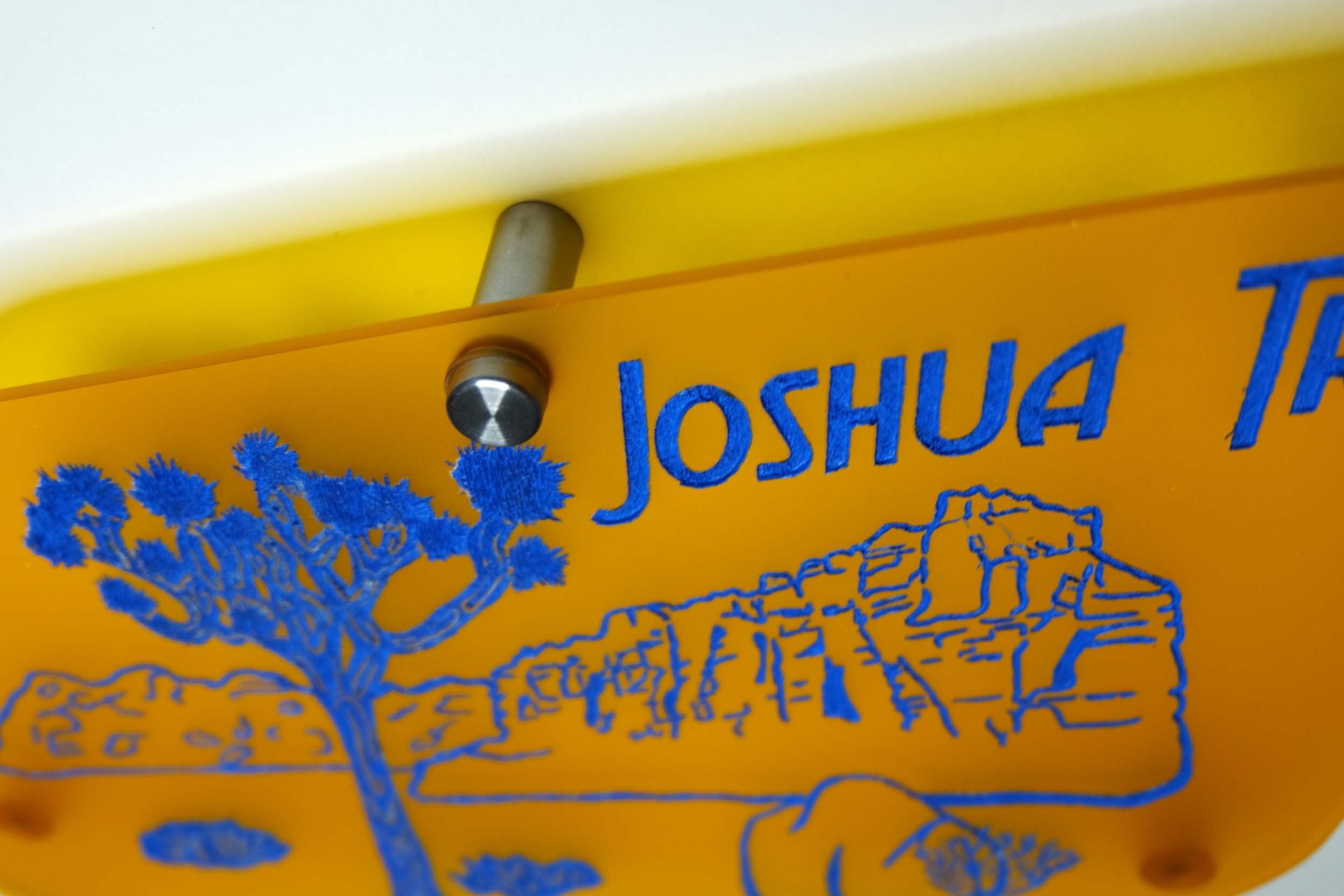 Joshua Tree Line Drawing on Acrylic - Etsy