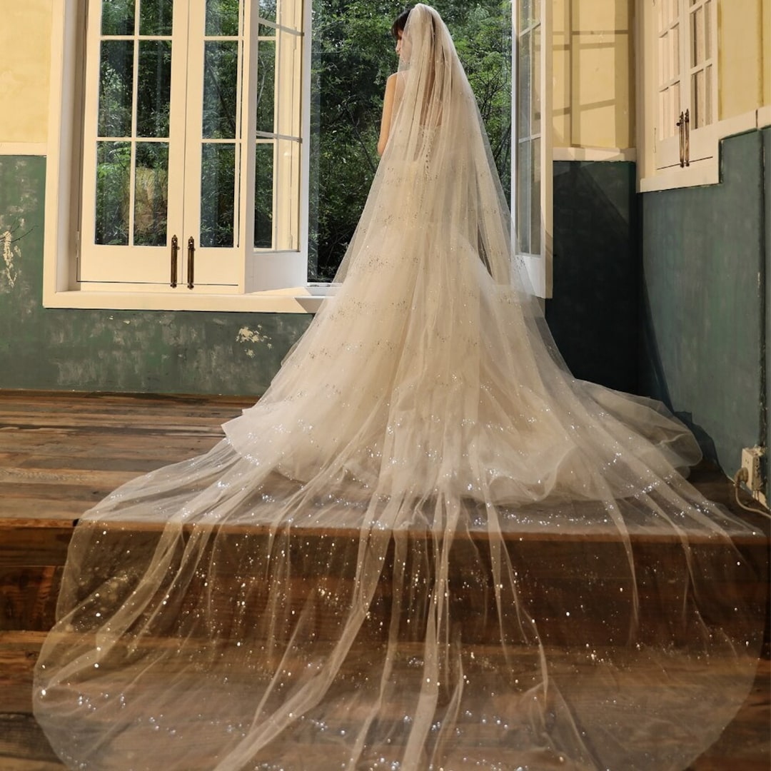 Stunning Crystals Long Bridal Veils With Comb/ Romantic One Layer ...