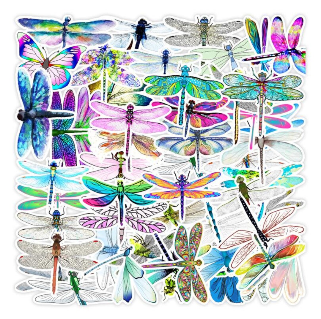 50 Pack Dragonflies Dragonfly Insect Garden Bug Christian Colorful ...