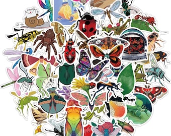 Bug Stickers - Etsy