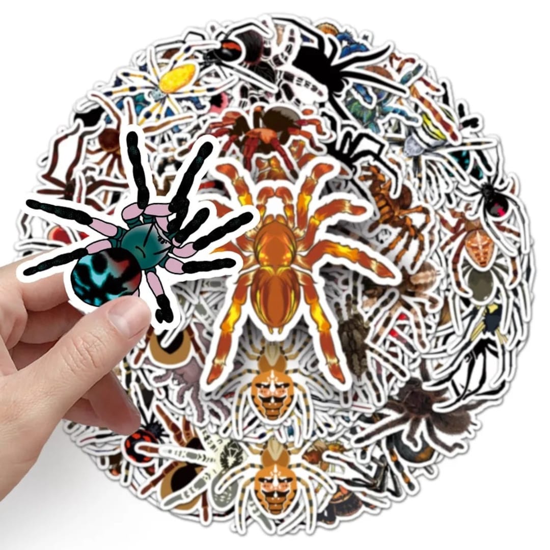 Spider Sticker Pack - Insect Vinyls - Anime Decals - Anime Animal ...