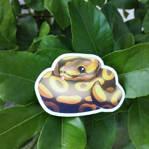 Cute Snake Sticker Set Ball Python Eyelash Viper Corn Snake - Etsy