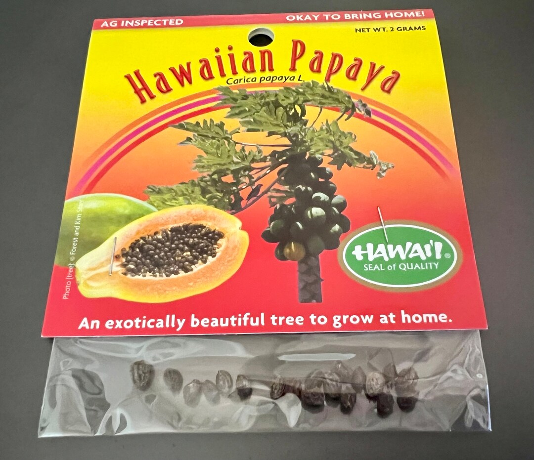 Hawaiian Papaya Seeds 2 Grams - Etsy