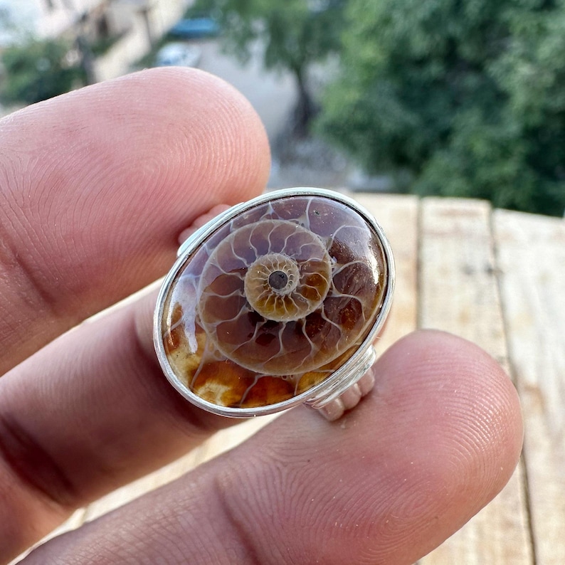 Natural Ammonite Fossil Ring, 925 Sterling Silver, Statement Unisex ...