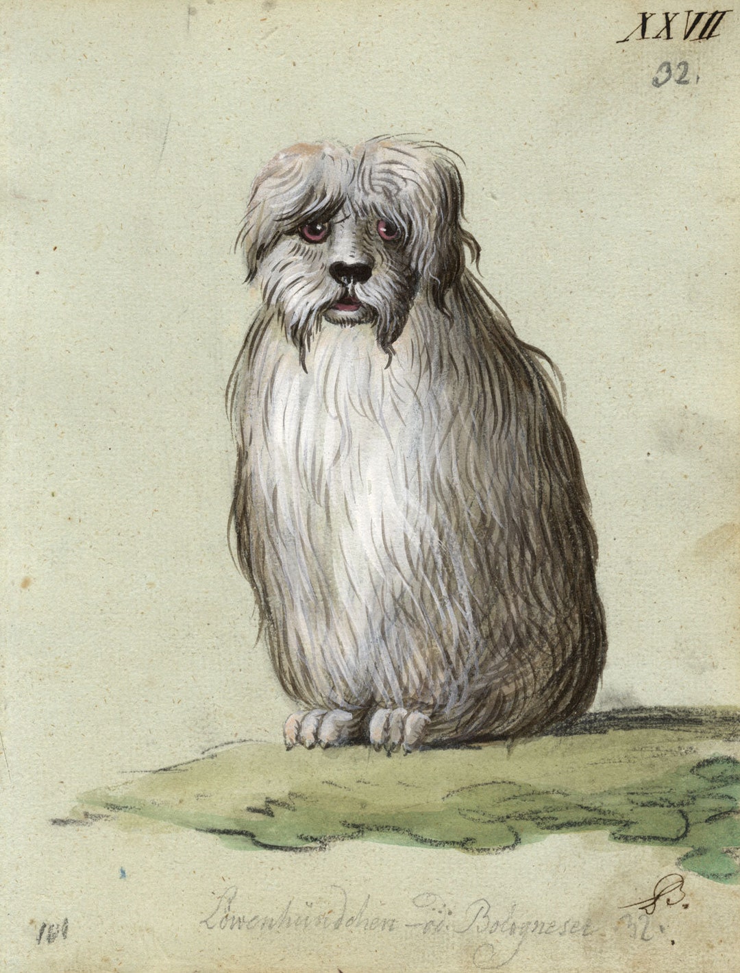 Leopold Billek, Bolognese Lion Dog – Original C.1820 Gouache Painting ...