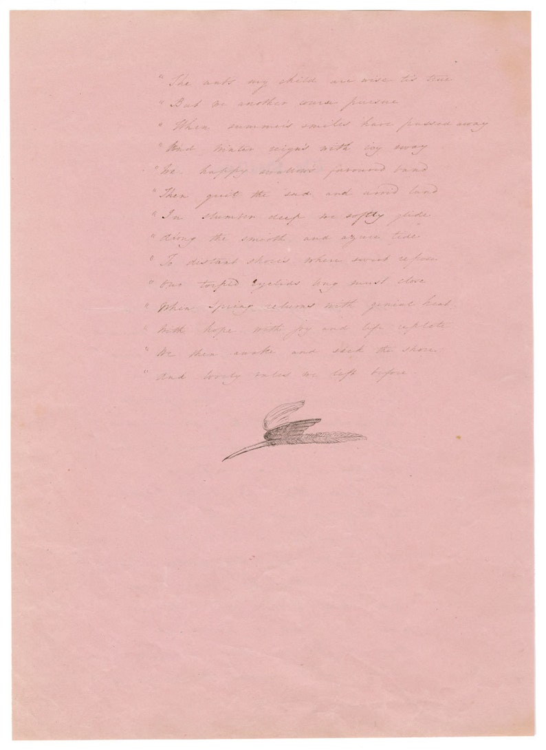 Poem 'swallow' Feather Illustration Pen & Ink Drawing Early 19th ...