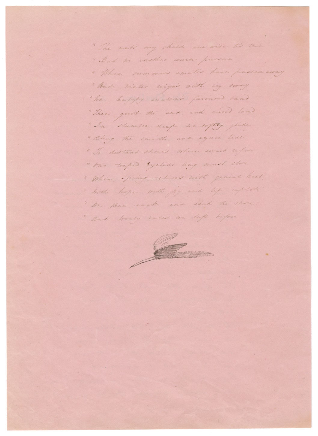 Poem 'swallow' Feather Illustration Pen & Ink Drawing Early 19th ...