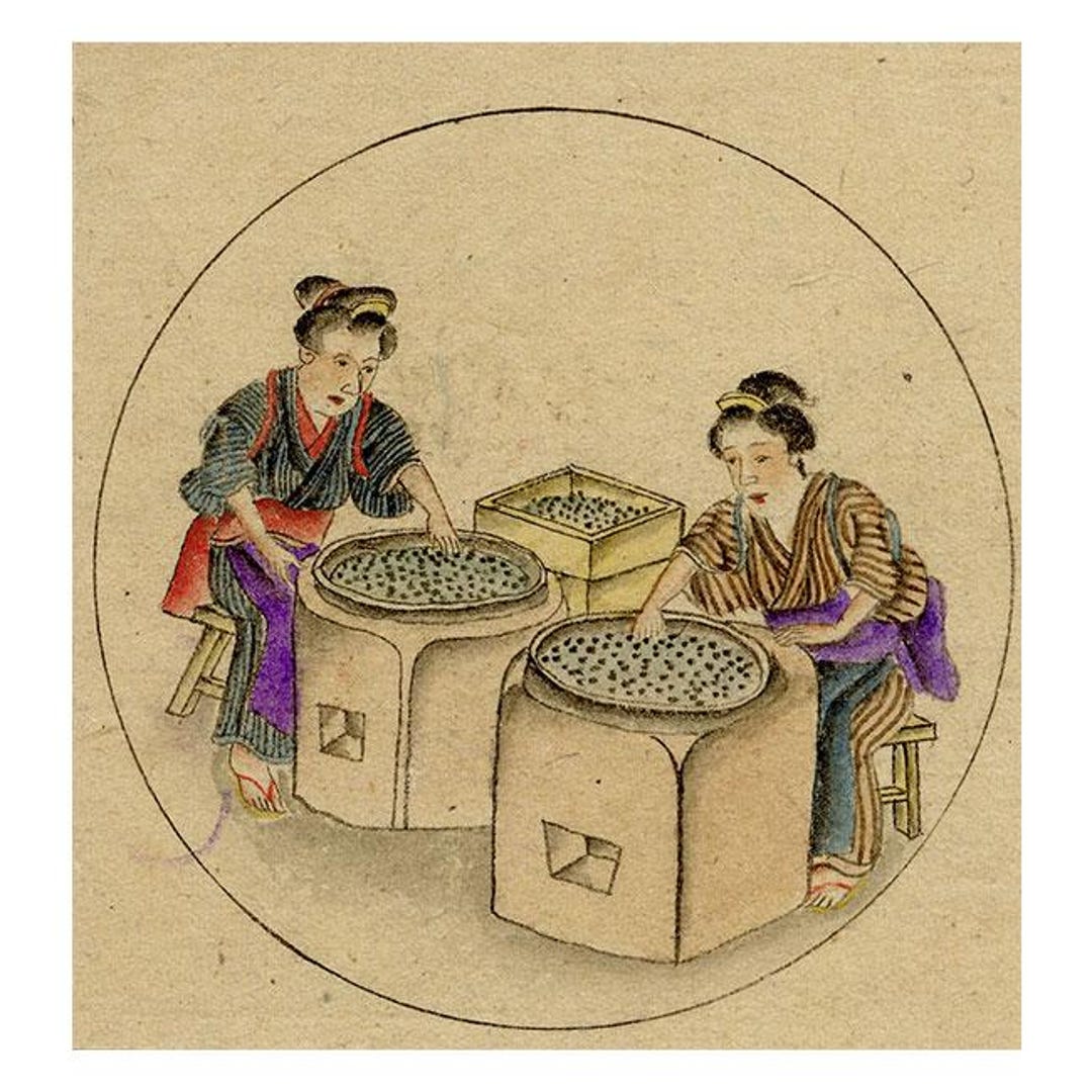 Sorting Silkworm Cocoons – Original Japanese Meiji Era Watercolour ...