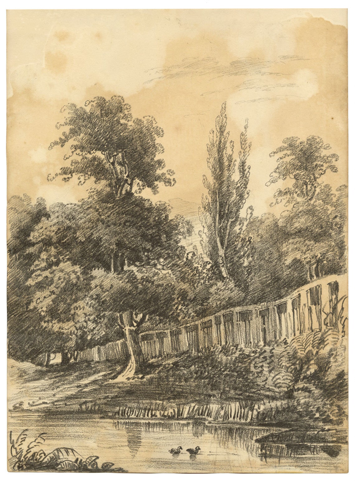 Henry William Burgess, Riverbank Tree Study Original C.1829 Graphite ...