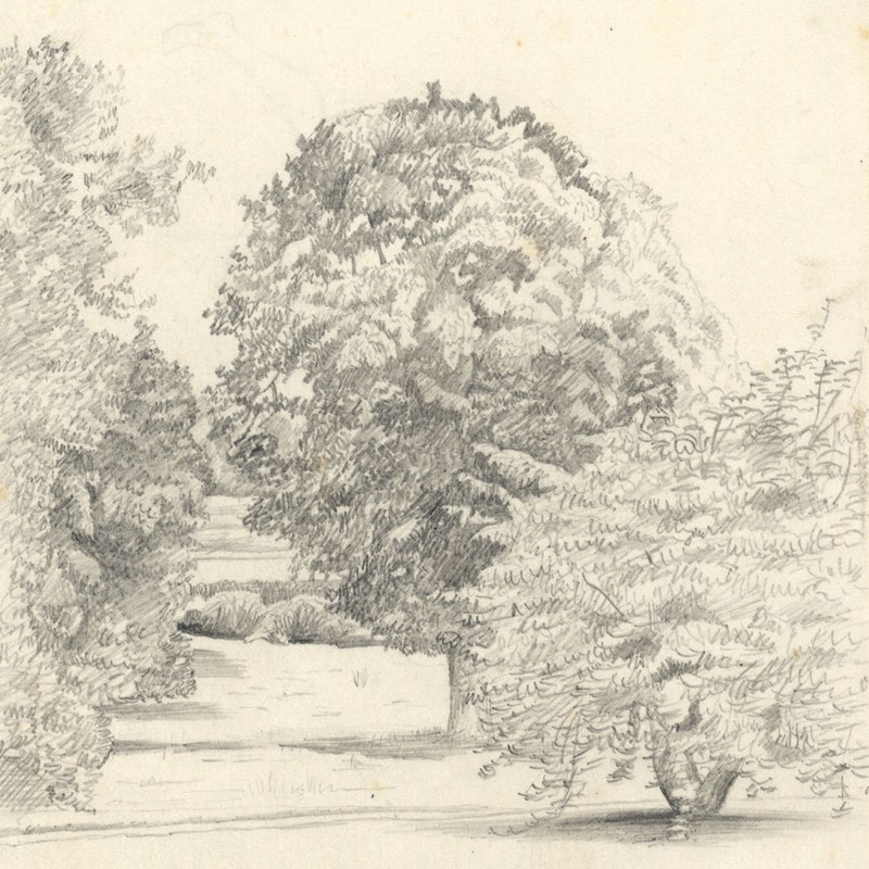 Graphite Drawing - Etsy
