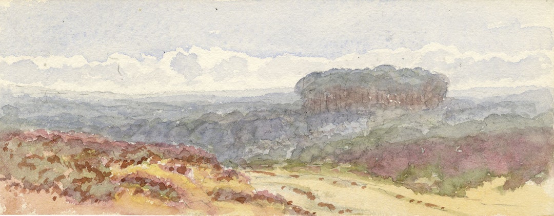 Emily Bruce, Woolmer Forest View, Hampshire – Original 1889 Watercolour ...