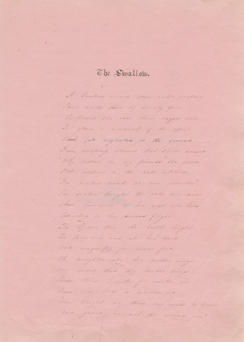 Poem 'swallow' Feather Illustration Pen & Ink Drawing Early 19th ...
