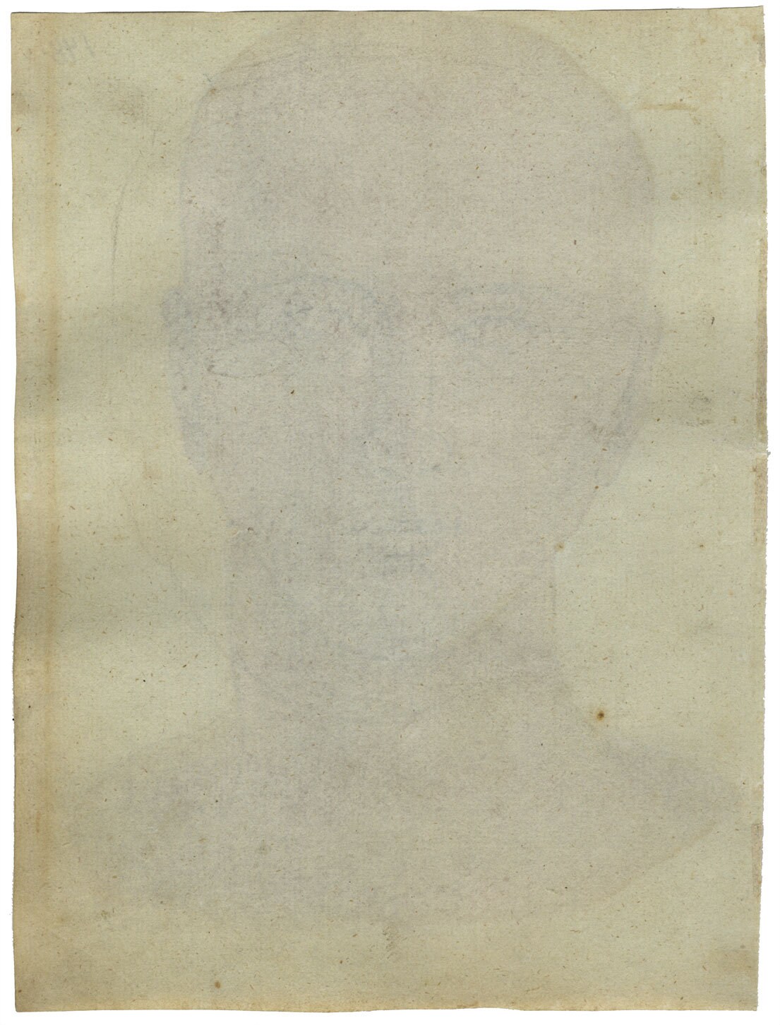 Leopold Billek Anatomical Face Study Original C.1820 - Etsy