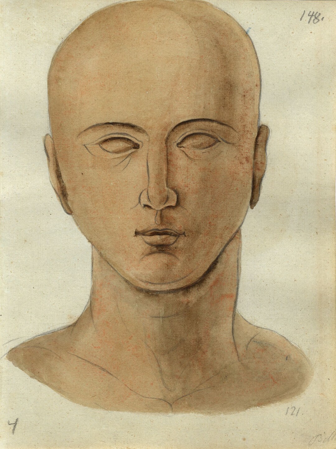 Leopold Billek Anatomical Face Study Original C.1820 - Etsy