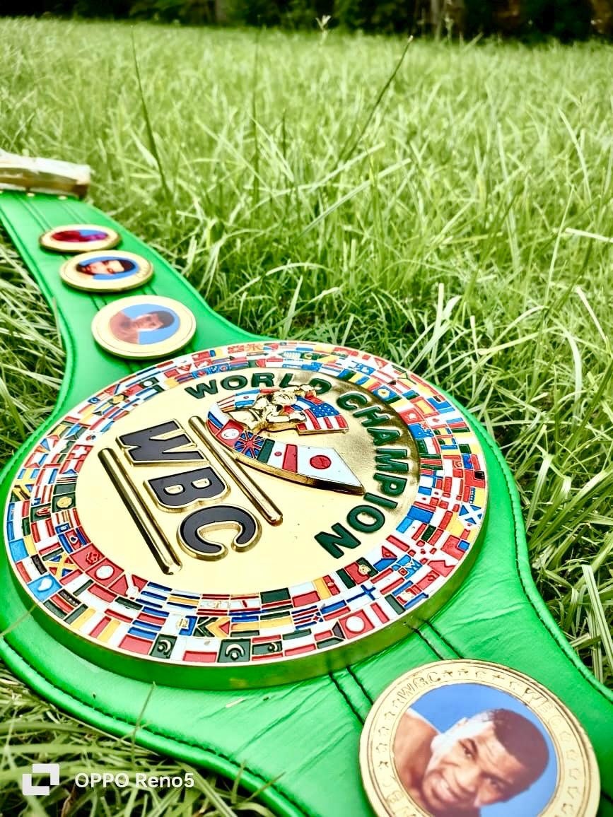 WBC WORLD Championship Belt World Boxing Council Full Adult Size New ...