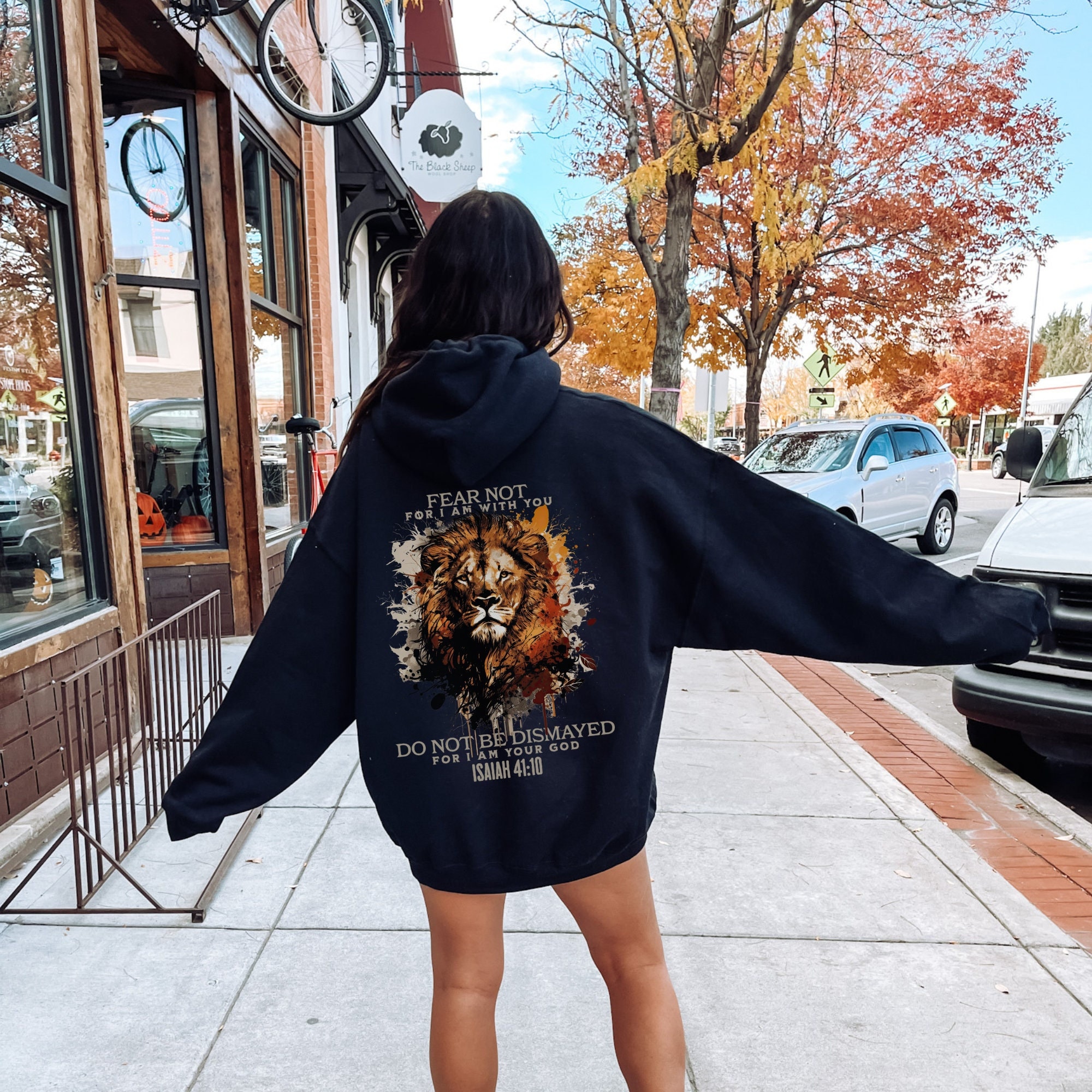 Isaiah 41:10 Do Not Fear Hoodie, Lion of Judah Sweater, Christian Lion ...