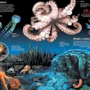 Britannica Illustrated Science Library 18 Books. in PDF Format. Digital ...