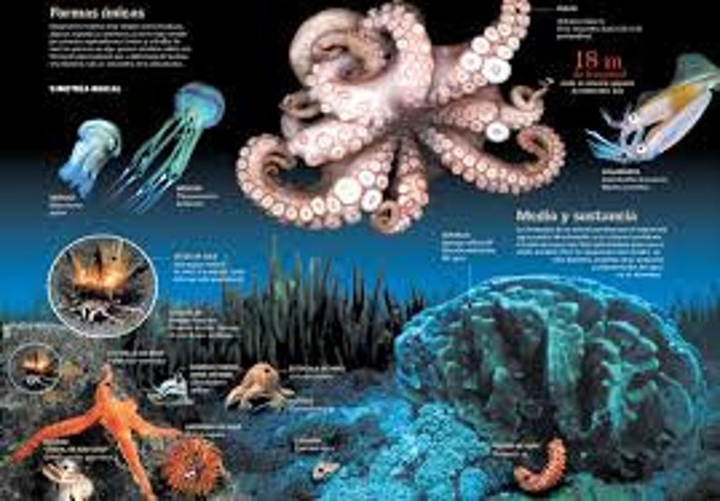 Britannica Illustrated Science Library 18 Books. in PDF Format. Digital ...