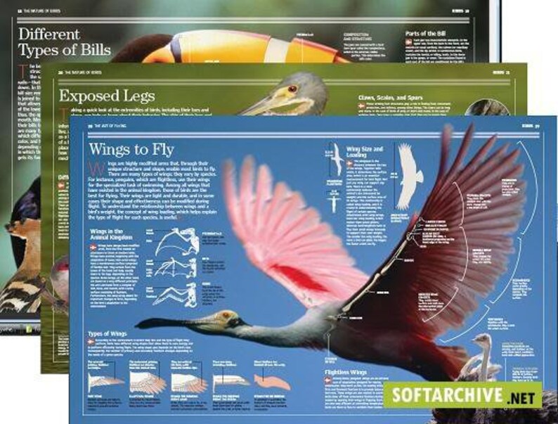 Britannica Illustrated Science Library 18 Books. in PDF Format. Digital ...