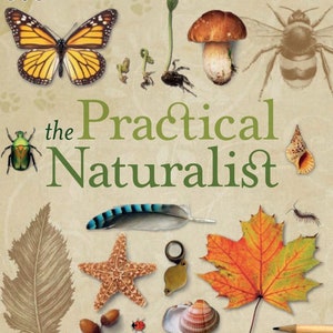 Nature. 10 Illustrated Books for Children. Ebooks in PDF. Rare ...