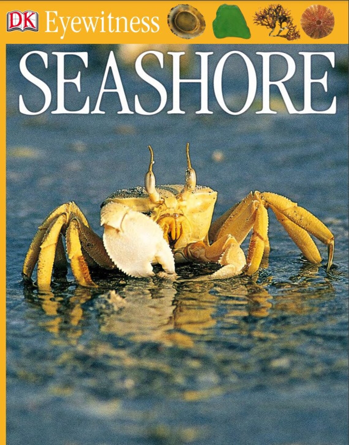 Nature. 10 Illustrated Books for Children. Pdf. Rare - Etsy