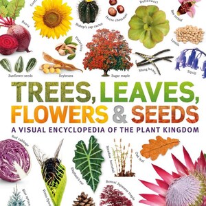 Nature. 10 Illustrated Books for Children. Ebooks in PDF. Rare ...