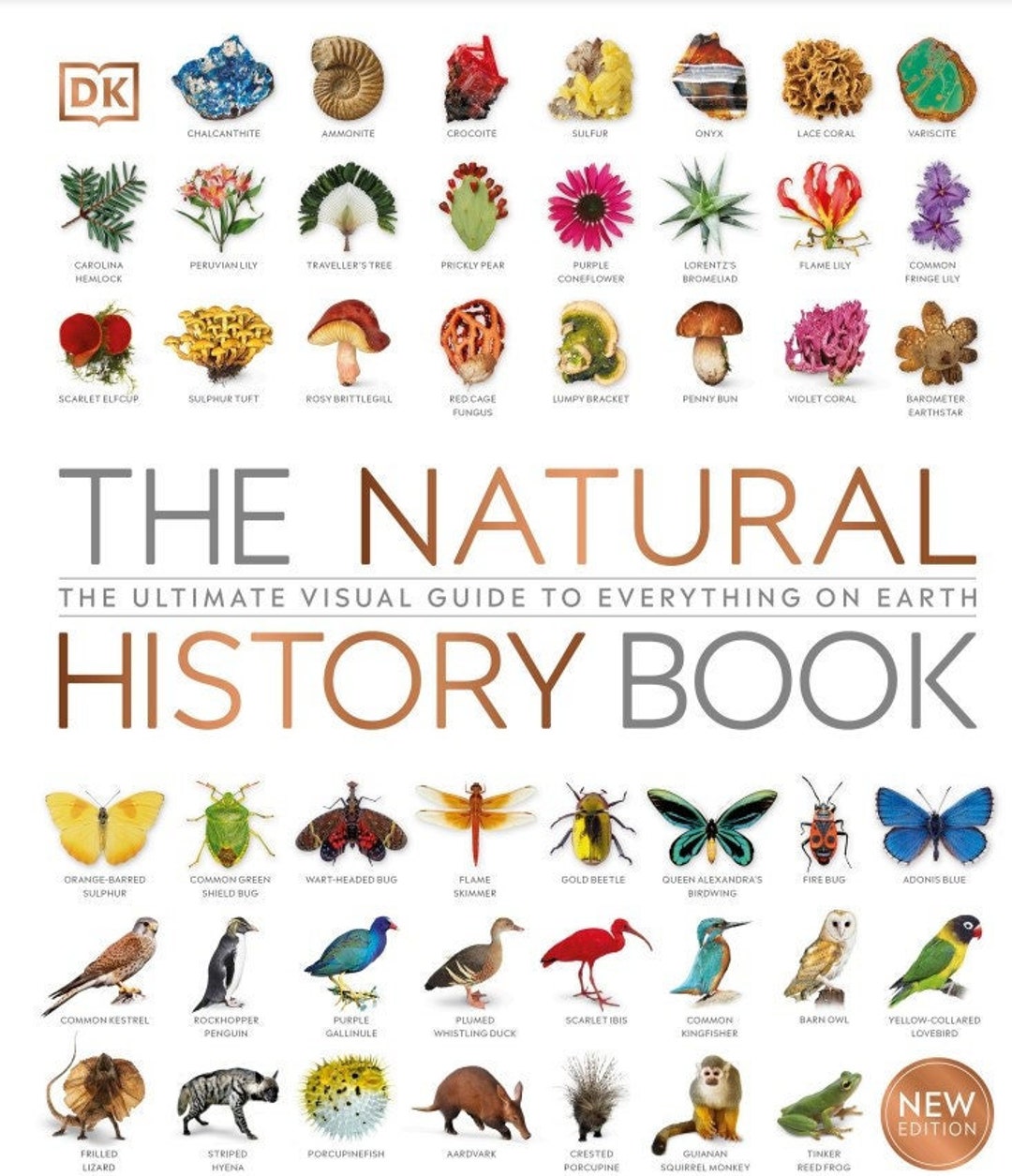 Nature. 10 Illustrated Books for Children. Ebooks in PDF. Rare ...