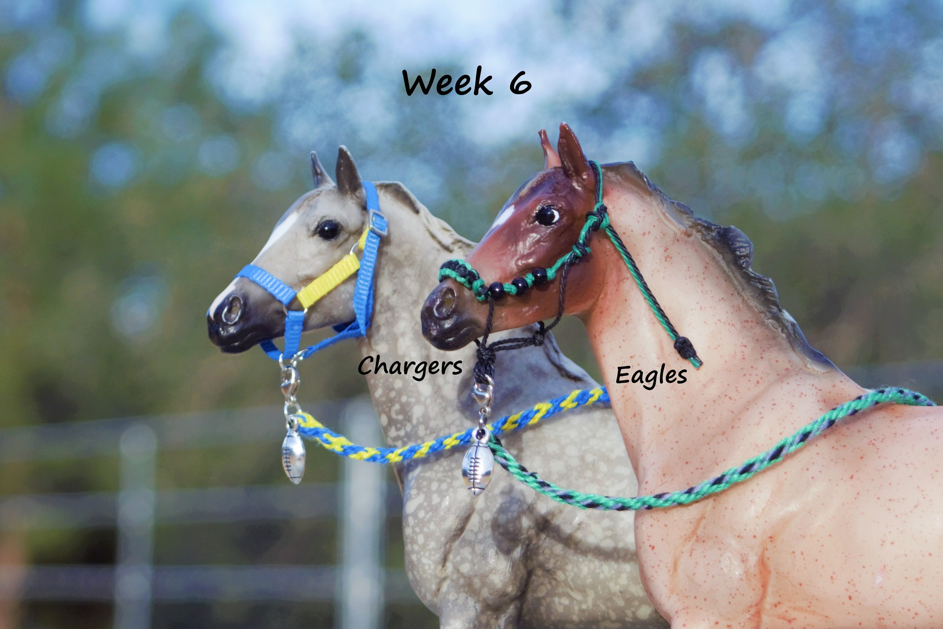 Classic Scale NFL Eagles Model Horse Halter - Etsy