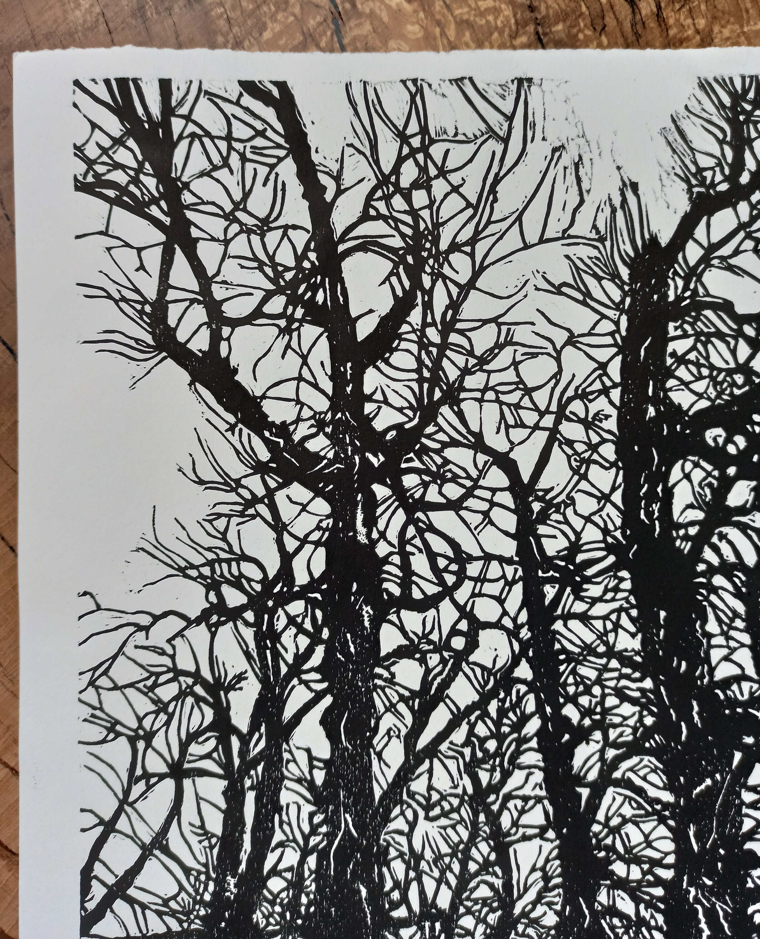 Original Linocut Print 'dancing Poplars' Handmade - Etsy