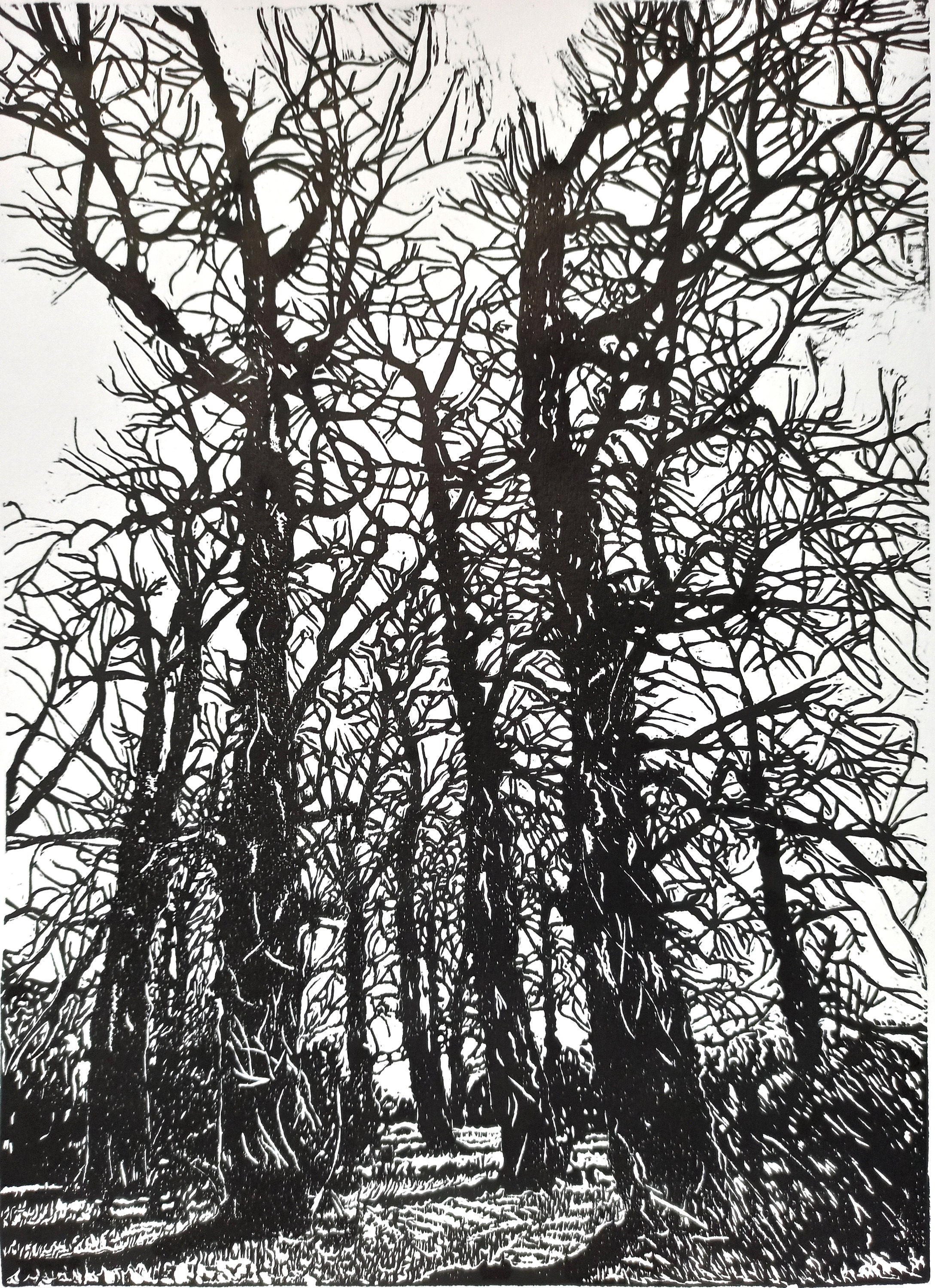 Original Linocut Print 'dancing Poplars' Handmade - Etsy