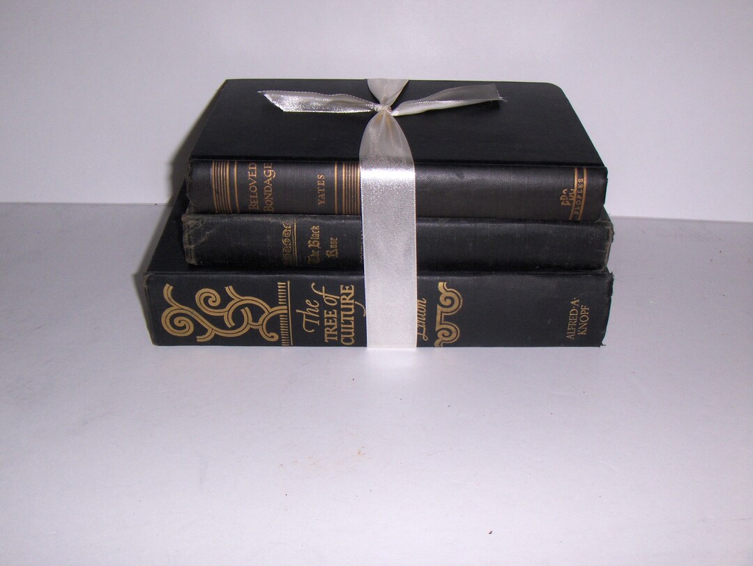 Old Books Vintage She-shed Decor Photo Props Instant Library - Etsy