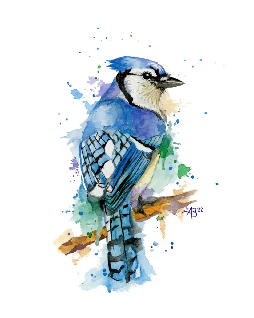 Blue Jay Watercolor Painting, Bird Art Print - Etsy