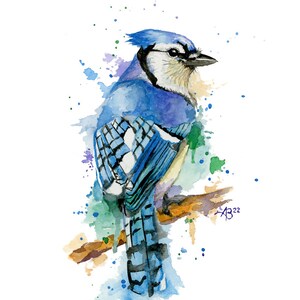 Blue Jay Watercolor Painting, Bird Art Print - Etsy