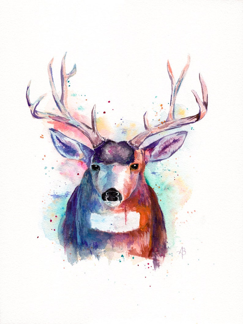 Deer Painting, Mule Deer Art Print - Etsy