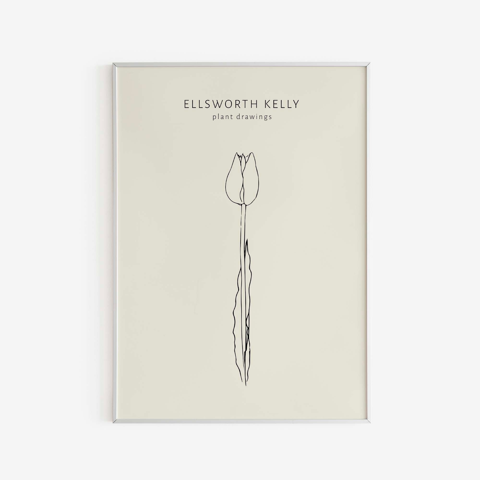 Ellsworth Kelly Drawings