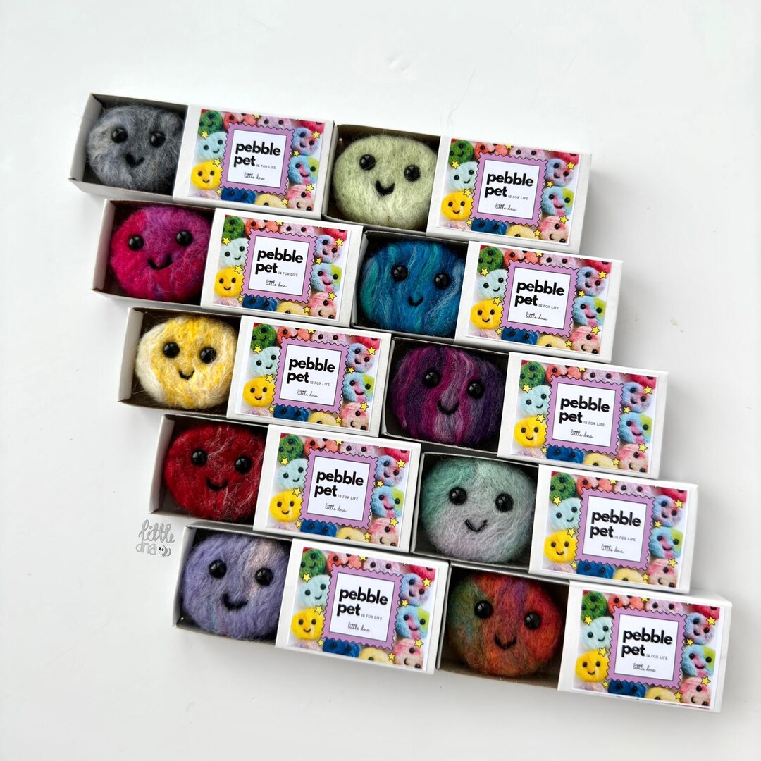 Pebble Pet Needle Felted Hug in a Box Happy Friend - Etsy