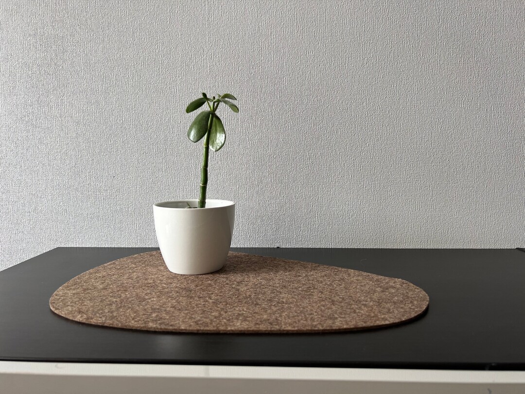 4 Piece Set of Merino Wool Felt Plate/decorative Placemat, Tischset ...