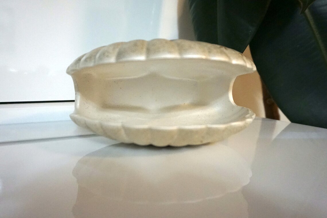 80s Vintage Italian Clam Shell Seashell Napkin Holder / Sponge - Etsy