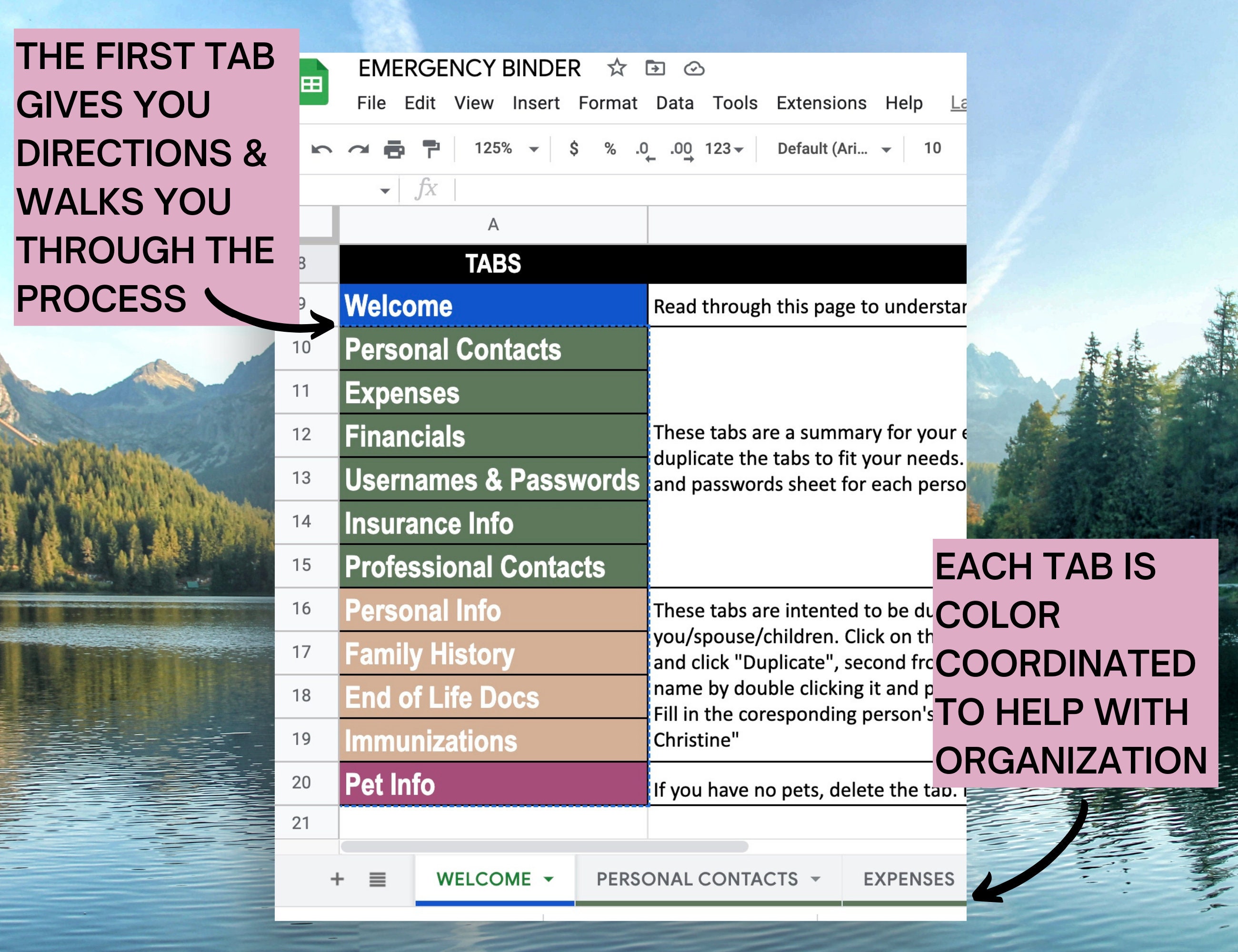 Emergency Binder Template and Printable Family Planner - Etsy Canada