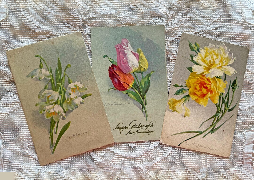 Catherine Klein 3 Antique Floral Postcards Tulips Carnations Snowdrops ...