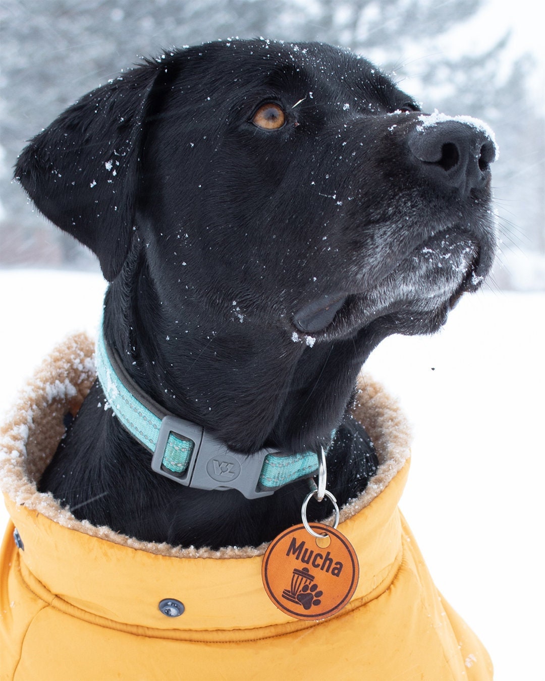 Disc Golf Dog Tags - Real Leather Custom Engraved Dog Tag - Etsy