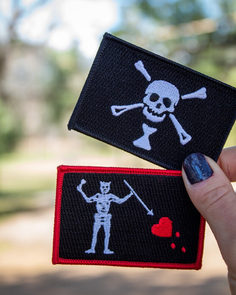 Pirate Flag Jolly Roger Disc Golf Patches 3 X 2 Embroidered Patches - Etsy