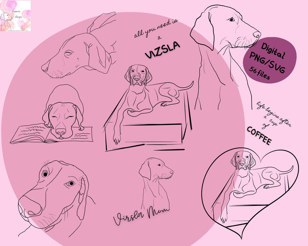 Vizsla Illustrations, SVG PNG Files, Handdrawn Vizslas, Funny Quotes ...