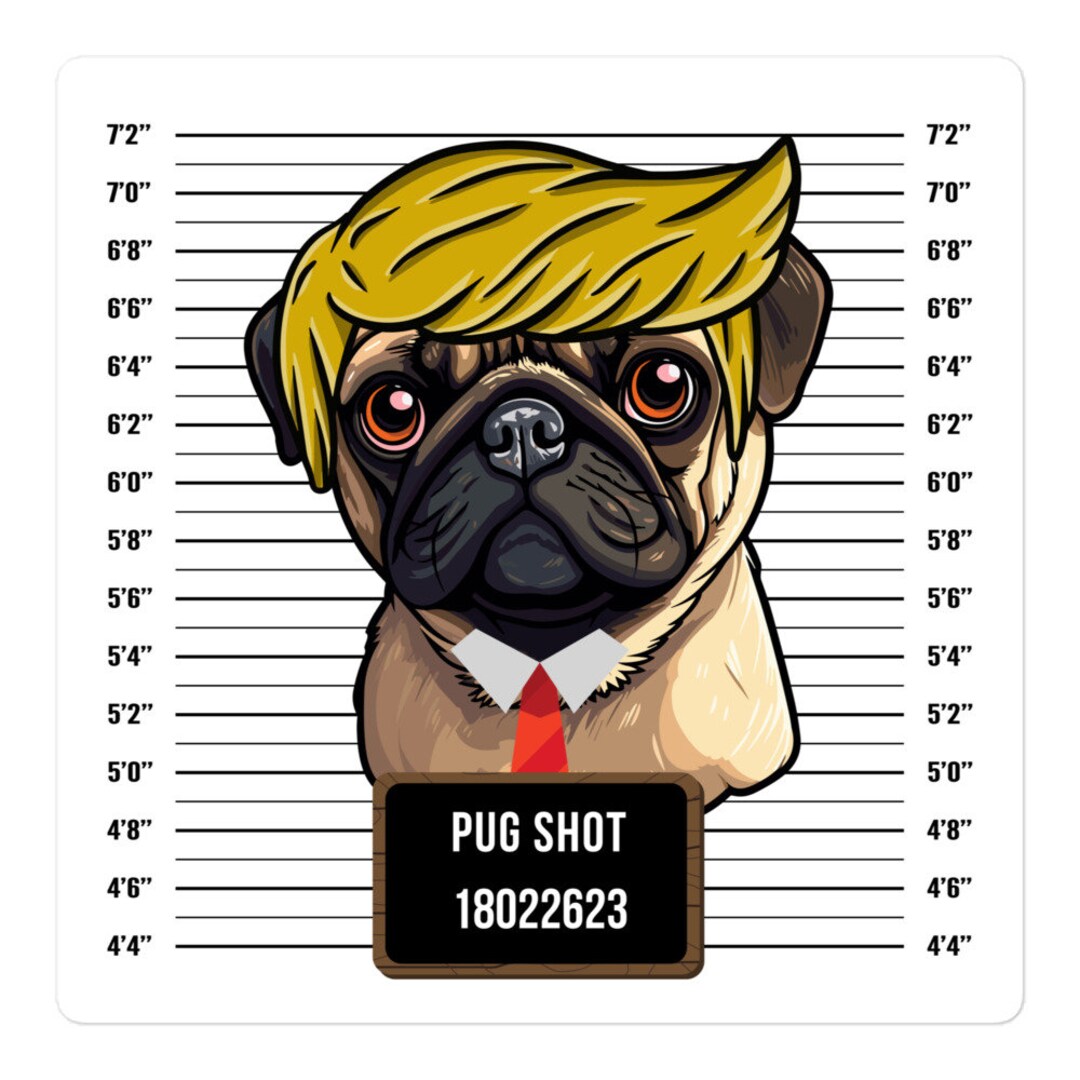 Funny Pug Sticker, Mugshot Sticker, Bubble-free Sticker, Multiple Sizes ...