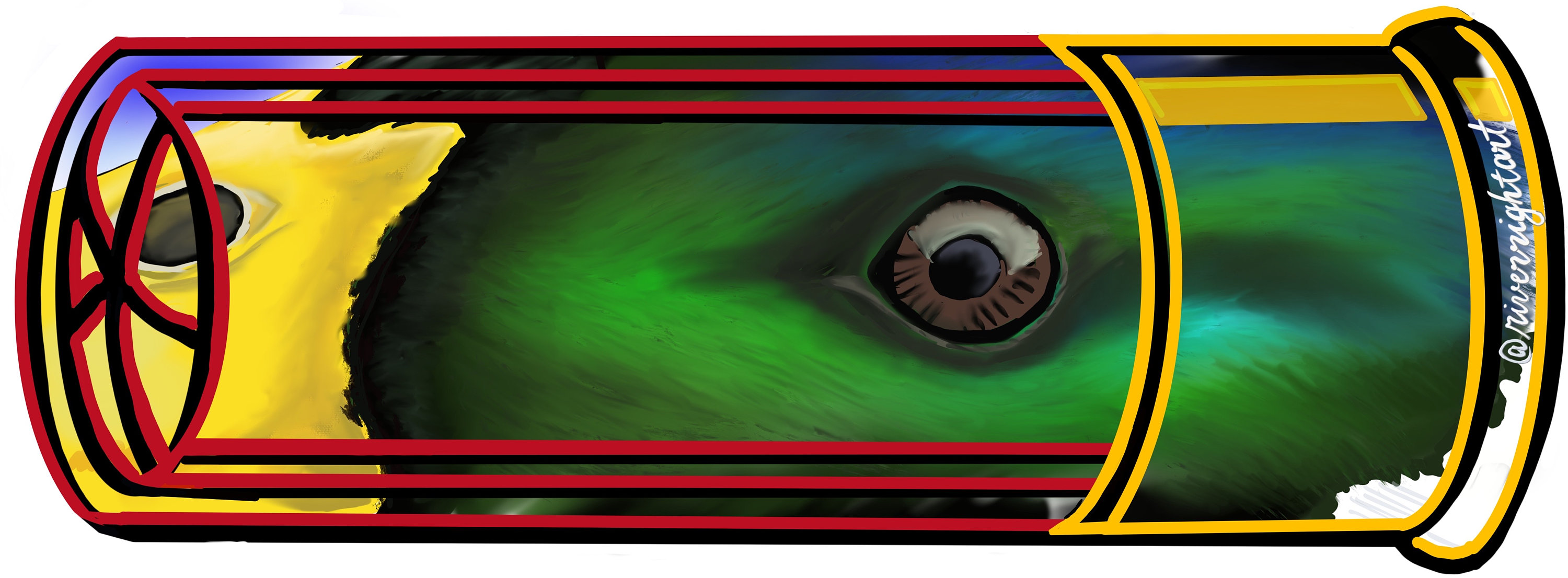 DUCK VALUE PACK Mallard & Wood Duck Shotgun Shell Stickers - Etsy