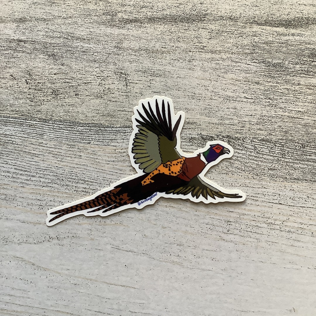 Pheasant Sticker - Etsy