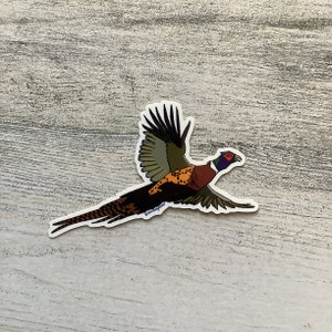 Pheasant - Etsy