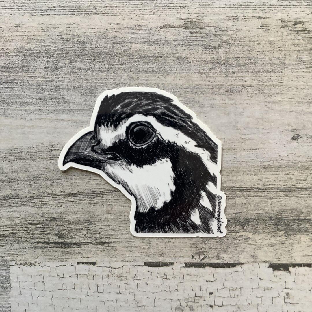 Artistic Bobwhite Quail Sticker - Etsy