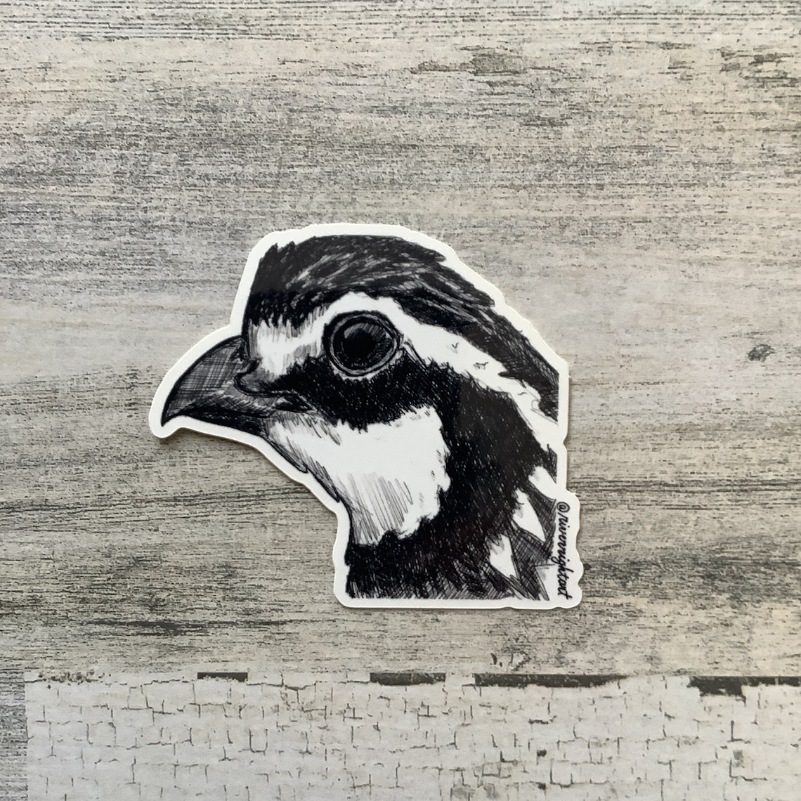 Artistic Bobwhite Quail Sticker - Etsy